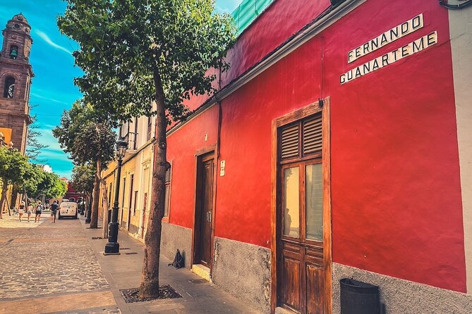 The North Coast Tour - Plantation, Rock Pool Snorkel, and Sunset - Guided by Certified Professionals