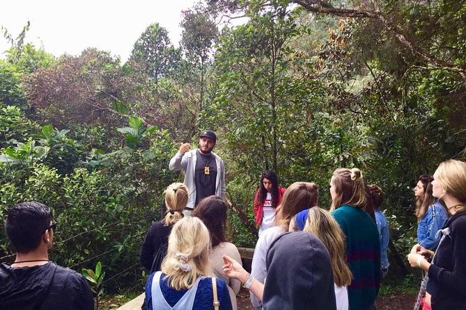 The Not Polite to Use His Name City Tour - Exploring La Catedral