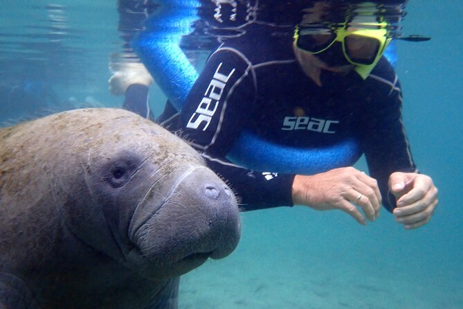 The 'OG' Manatee Snorkel Tour with In-Water Guide/Photographer - FAQs