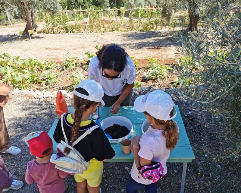 The Olive Oil Experience @ Lefkada Micro Farm - Breakdown of the Experience