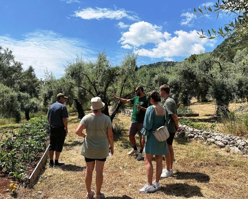 The Olive Oil Experience @ Lefkada Micro Farm - FAQ
