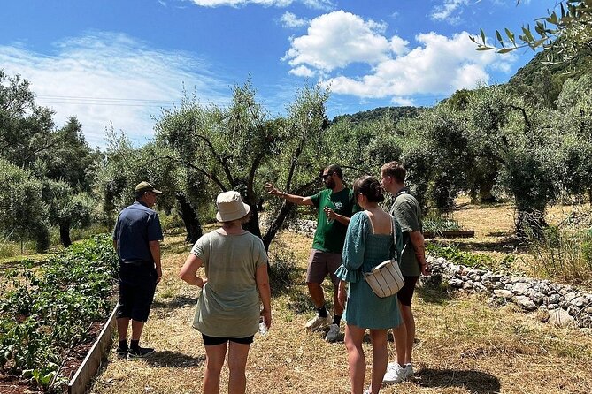 The Olive Oil Experience @ Lefkada Micro Farm - Immersive Garden Tour