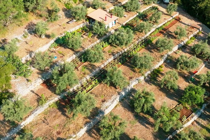 The Olive Oil Experience @ Lefkada Micro Farm - Booking and Cancellation Policy