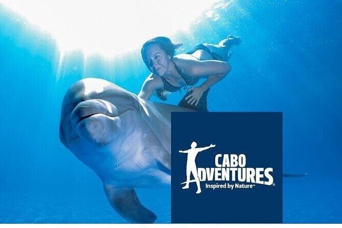 The only Natural Space Dolphin Encounter in Cabo Optional Pickup! - An In-Depth Look at the Cabo Dolphin Encounter