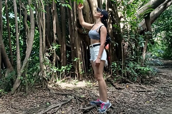 The Original Bicycle Tour in the Green Jungle of Bangkok - The Itinerary and Its Highlights