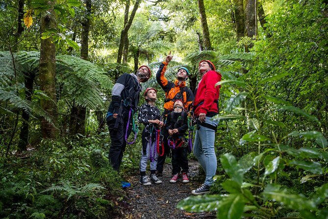The Original Canopy Zipline Experience Private Tour From Auckland - An Introduction to the Experience