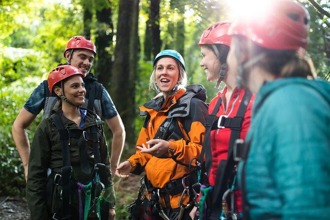 The Original Canopy Zipline Experience Private Tour From Auckland - Is It Worth the Price?