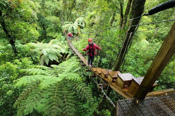 The Original Canopy Zipline Experience Private Tour From Auckland - Who Will Love This Tour?