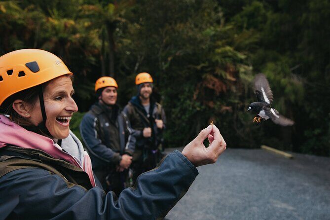 The Original Canopy Zipline Experience Private Tour From Auckland - A Few Practical Tips