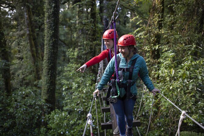 The Original Canopy Zipline Experience Private Tour From Auckland - Frequently Asked Questions