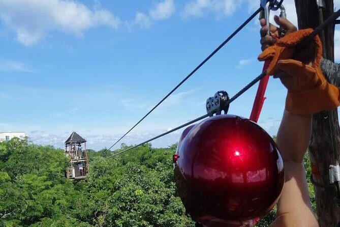 The Original Cozumel Zipline Adventure - Real Guest Experiences and Insights