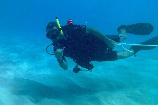 The Original Tiger Shark Challenge - Exploring the Experience in Detail