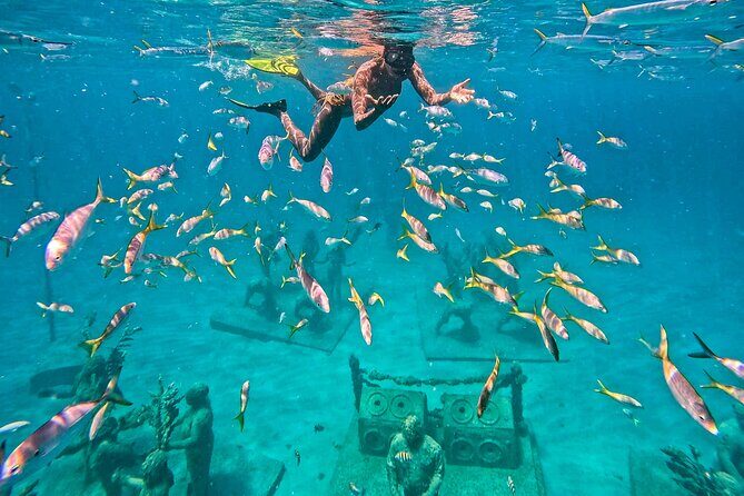 The Original Underwater Sculpture Park Snorkel Tour - FAQ
