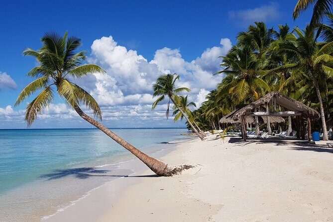 The paradise of Isla Saona from Bavaro - The Sum Up: Is This Tour Worth It?