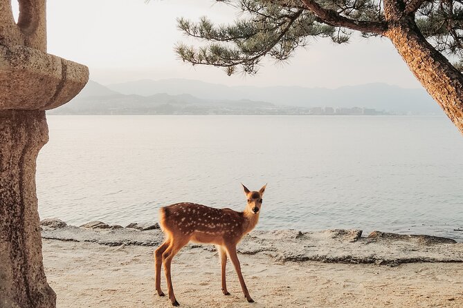 The Peace Memorial to Miyajima : Icons of Peace and Beauty - The Tranquil Beauty of Miyajima Island