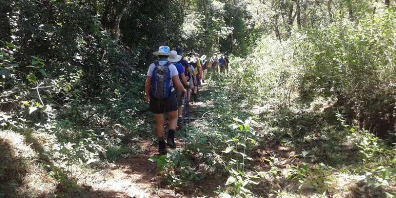 The Pekoe Trail, Stage 12, Trekking Fm Udaweriya To Haputale - The Forest and Pine Groves: Nature’s Therapeutic Touch