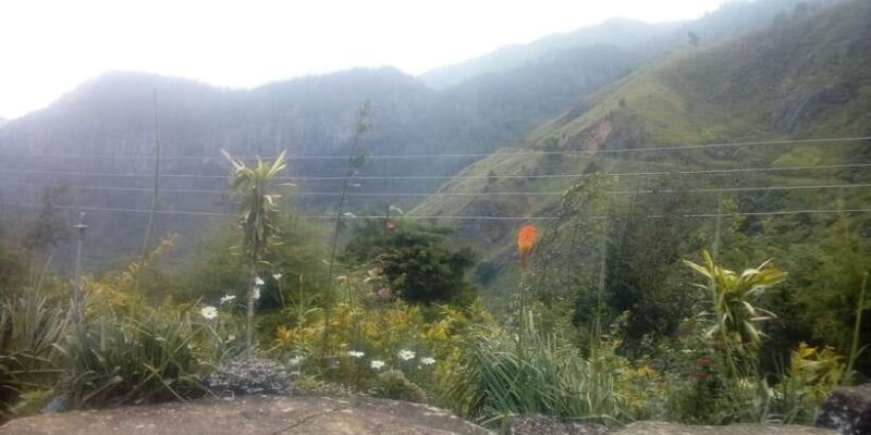 The Pekoe Trail, Stage 12, Trekking Fm Udaweriya To Haputale - Practical Details and Value