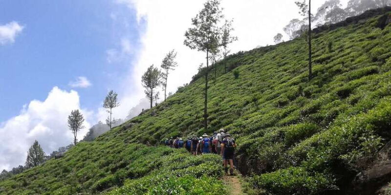 The Pekoe Trail, Stage 14,St. Catherine To Makulella - Fascinating Cultural and Natural Highlights