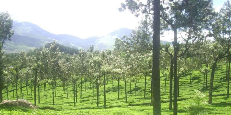 The Pekoe Trail, Stage 14,St. Catherine To Makulella - Authentic Experiences You’ll Remember