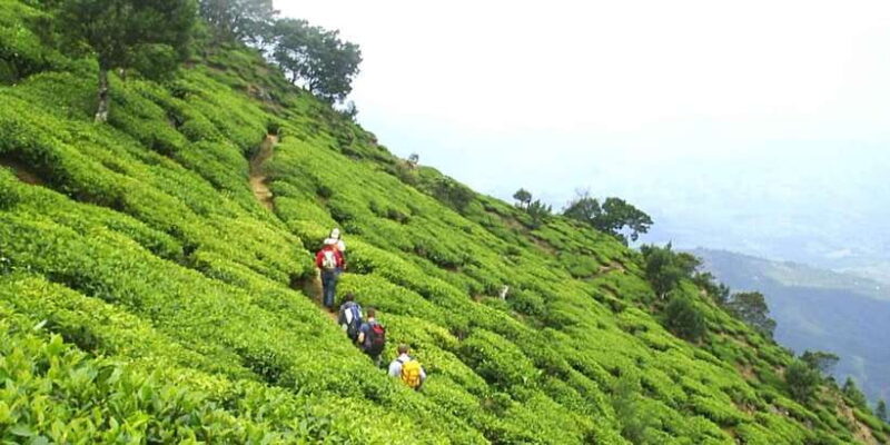 The Pekoe Trail, Stage 14,St. Catherine To Makulella - Is the Pekoe Trail Worth It?