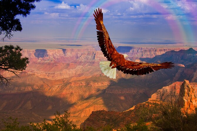 The Perfect Grand Canyon Tour With Local Expert Guides - Planning Your Perfect Grand Canyon Adventure