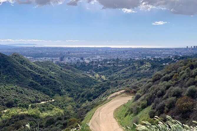 The Premier Hollywood Sign Tour: Nature in the Heart of the City - The Sum Up: Is It Worth It?