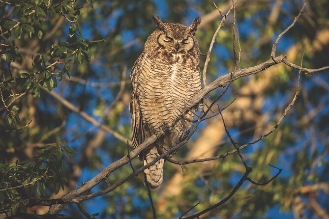 The Premier Wildlife Tours in Rocky Mountain National Park - The Parks Biodiversity