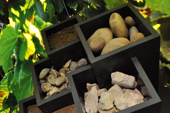 The Prestige Course at Maison Brotte - Accessibility and Participation