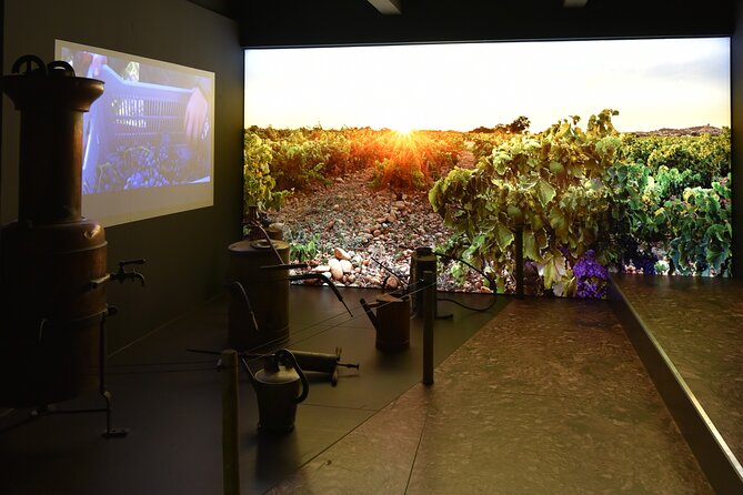 The Prestige Course at Maison Brotte - What to Expect During Your Tour