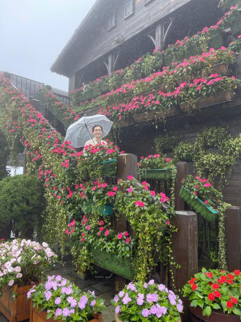 The private tour to the Golden bridge and Hoi An by night - Logistics, Cost, and Practical Tips