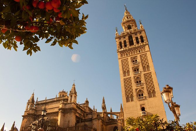 The Real Gems of Seville. Private Tour - Royal Alcazar Palace Tour