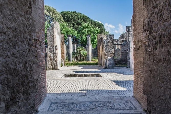 The real life in the old Pompeii tour with Archaelogical Guide All Inclusive - An In-Depth Look at the Pompeii Experience