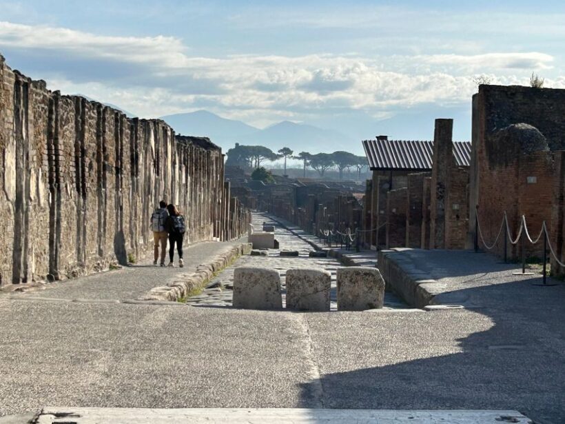 The Real Pompeii-entrance tickets included and skip the line - Practical Details and Logistics