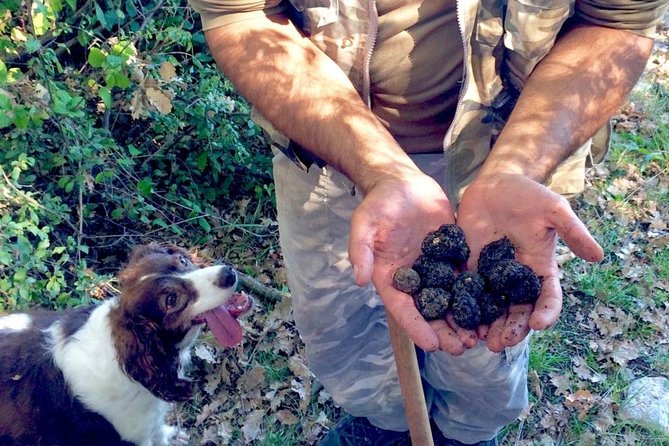 The Real Truffle Hunting in Abruzzo - Key Points