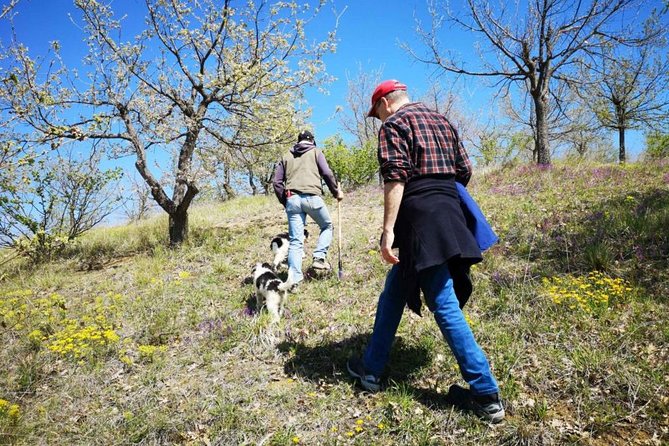 The Real Truffle Hunting in Abruzzo - Logistics and Meeting Point