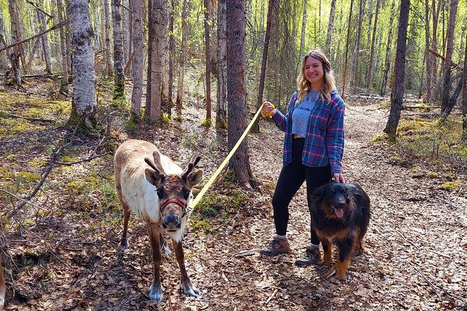 The Reindeer Grove Homestead Tour and Forage - Key Points