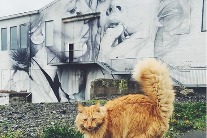 The Reykjavik Cat Walking Tour - Encounters With Friendly Feline Locals