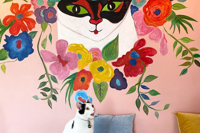 The Reykjavik Cat Walking Tour - Insights Into Icelands Affection for Cats