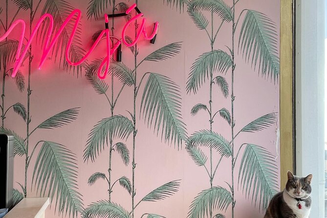 The Reykjavik Cat Walking Tour - Traveler Reviews and Recommendations