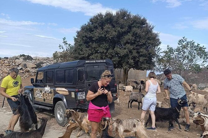 The Roads Of Wine Olive Oil And Cretan Tradition in Malia - Exploring Crete’s Culinary and Cultural Heart: The Roads Of Wine, Olive Oil, And Cretan Tradition in Malia