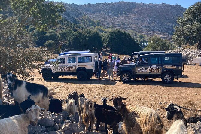 The Roads Of Wine Olive Oil And Cretan Tradition in Malia - Transportation and Practicalities