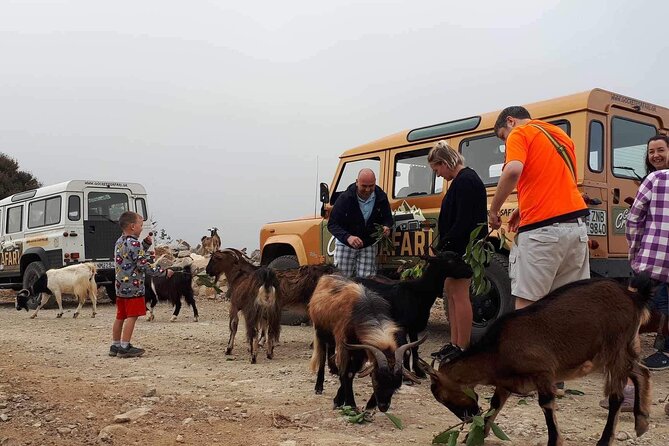 The Roads Of Wine Olive Oil And Cretan Tradition in Malia - Who Should Book This Tour?