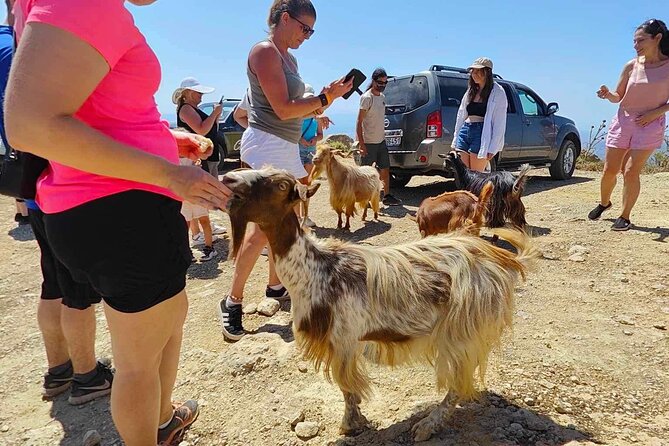 The Roads Of Wine Olive Oil And Cretan Tradition in Malia - The Sum Up: Is This Tour Worth It?