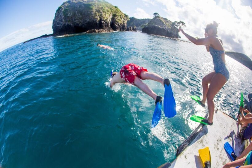 The Rock Adventure Day Cruise - Key Points