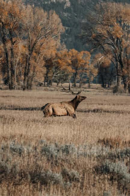 The Sacred Mountains Of Banff And Canmore Walking Tour - The Sum Up