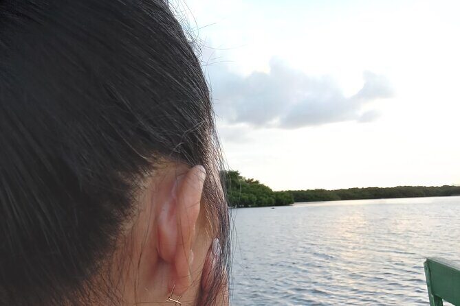 The Scarlet Ibis - Caroni Swamp Tour - The Value: Why This Tour Stands Out