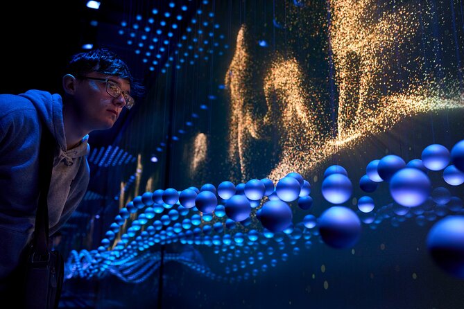 The Scotch Whisky Experience Guided Whisky Tour - An Introduction to Whisky - The Tour Itself