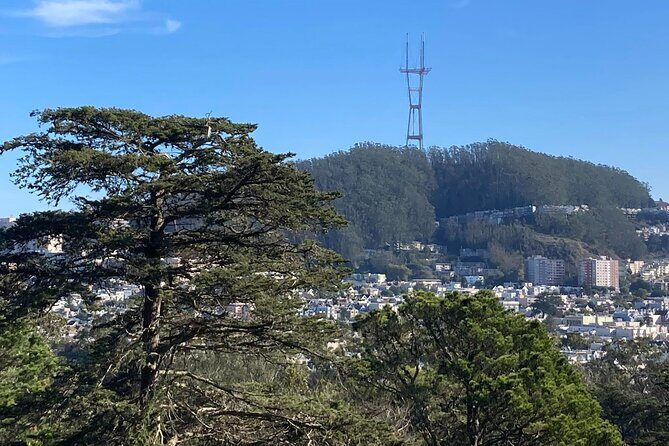 The Secrets of Golden Gate Park: A San Francisco Chronicle Self-Guided Tour - Practical Considerations