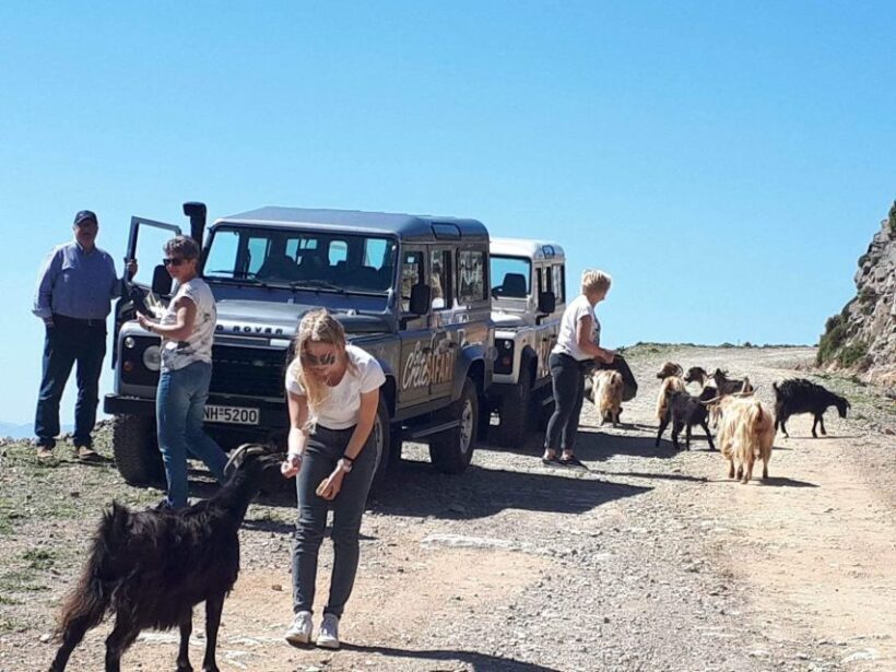 The Secrets Of The Southern Crete Safari tour - A Detailed Look at the Tour Experience