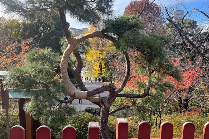The Shogun Tour in Tokyo - Introduction: What the Shogun Tour Offers and Why It’s Worth Considering